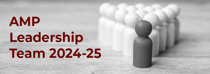 AMP Leadership Teams